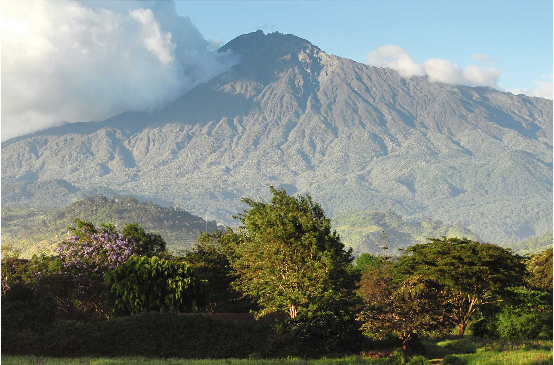 Arusha Boutique Hotel | Dàya Travel